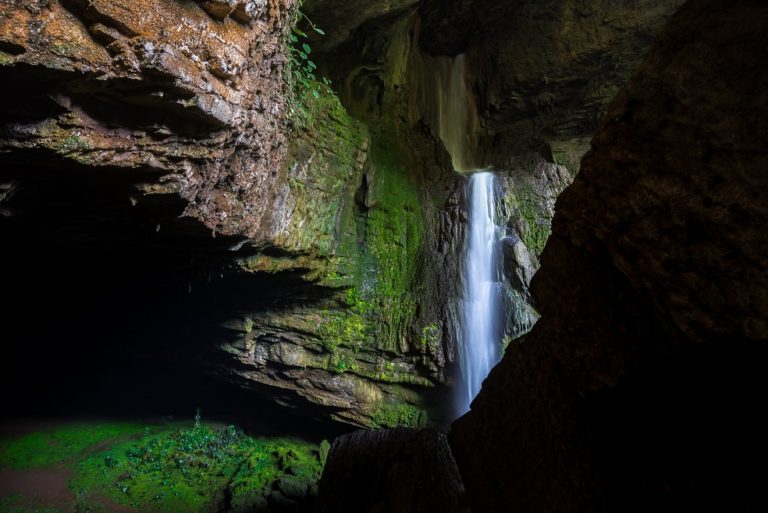 Peces ciegos que viven en cuevas: un misterio evolutivo | Blogs El ...