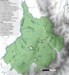 Peces ciegos que viven en cuevas: un misterio evolutivo | Blogs El ...