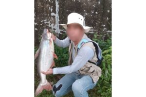 De Vietnam a Huila: los miedos de la producción del pez basa | Blogs El ...